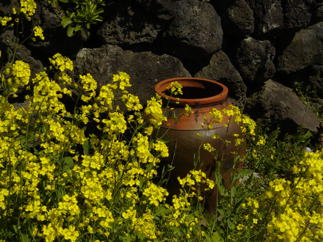 Samda: Three Abundances - Jeju Island, South Korea