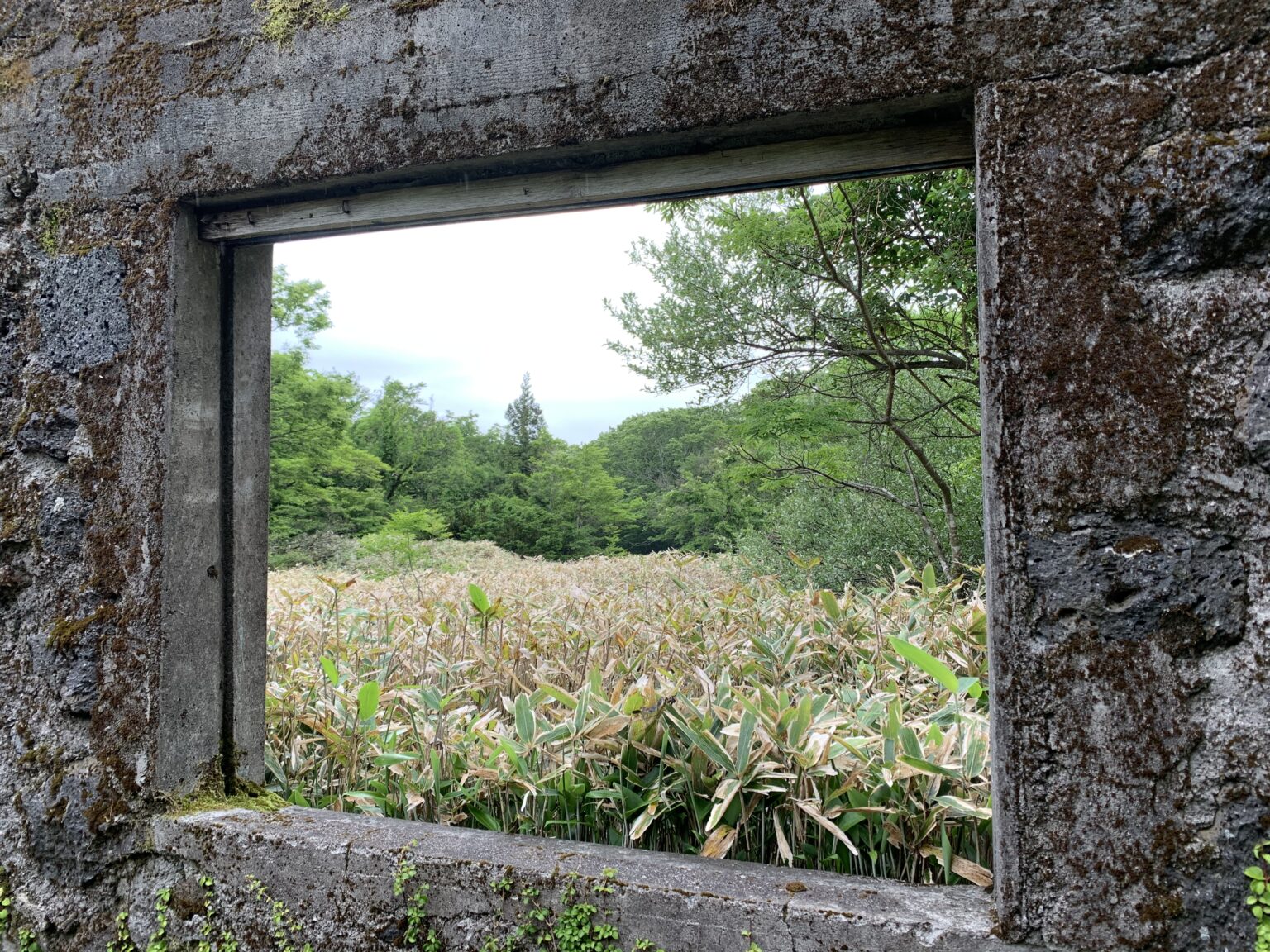 The State of Tamna - Jeju Island, South Korea